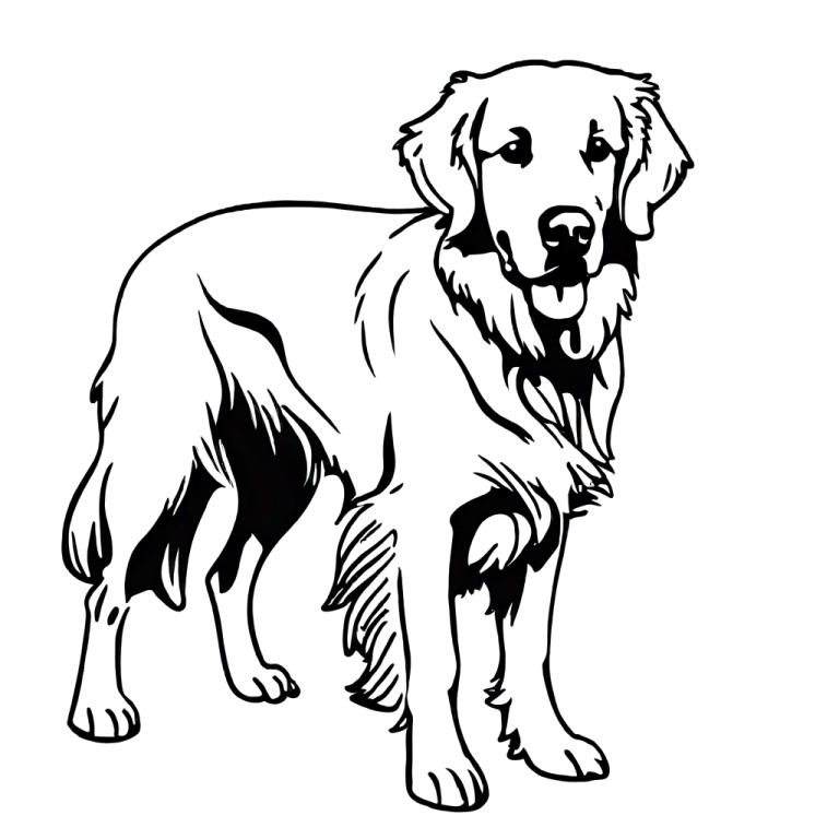 Golden retriever line drawing Lulu Pages