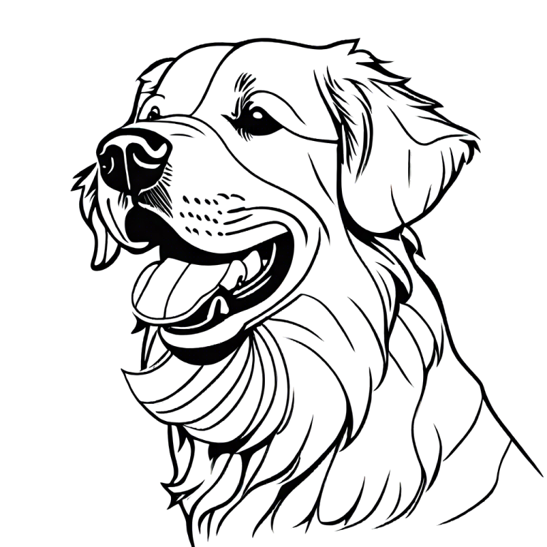 Golden retriever coloring page Lulu Pages