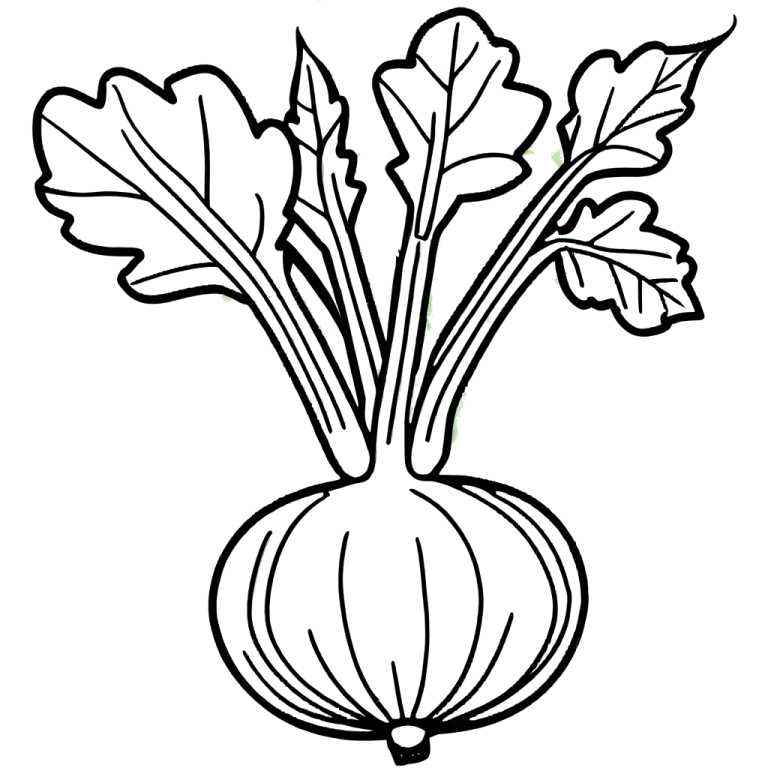 Simple turnip and green leaves coloring sheet Lulu Pages