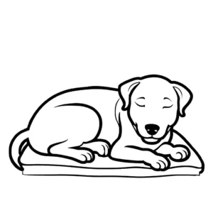 Playful dog with ball coloring page Lulu Pages